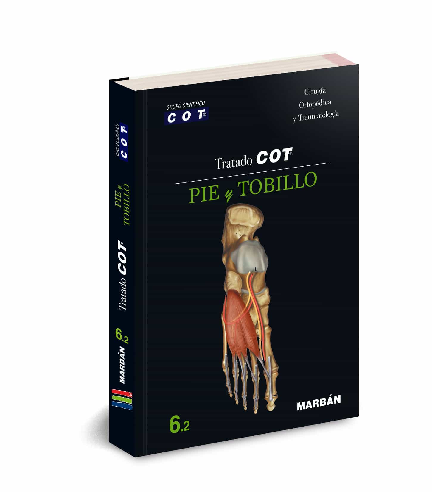 Tratado COT - 6.2 Pie y Tobillo. COT Grupo Científico. – Medimed HN